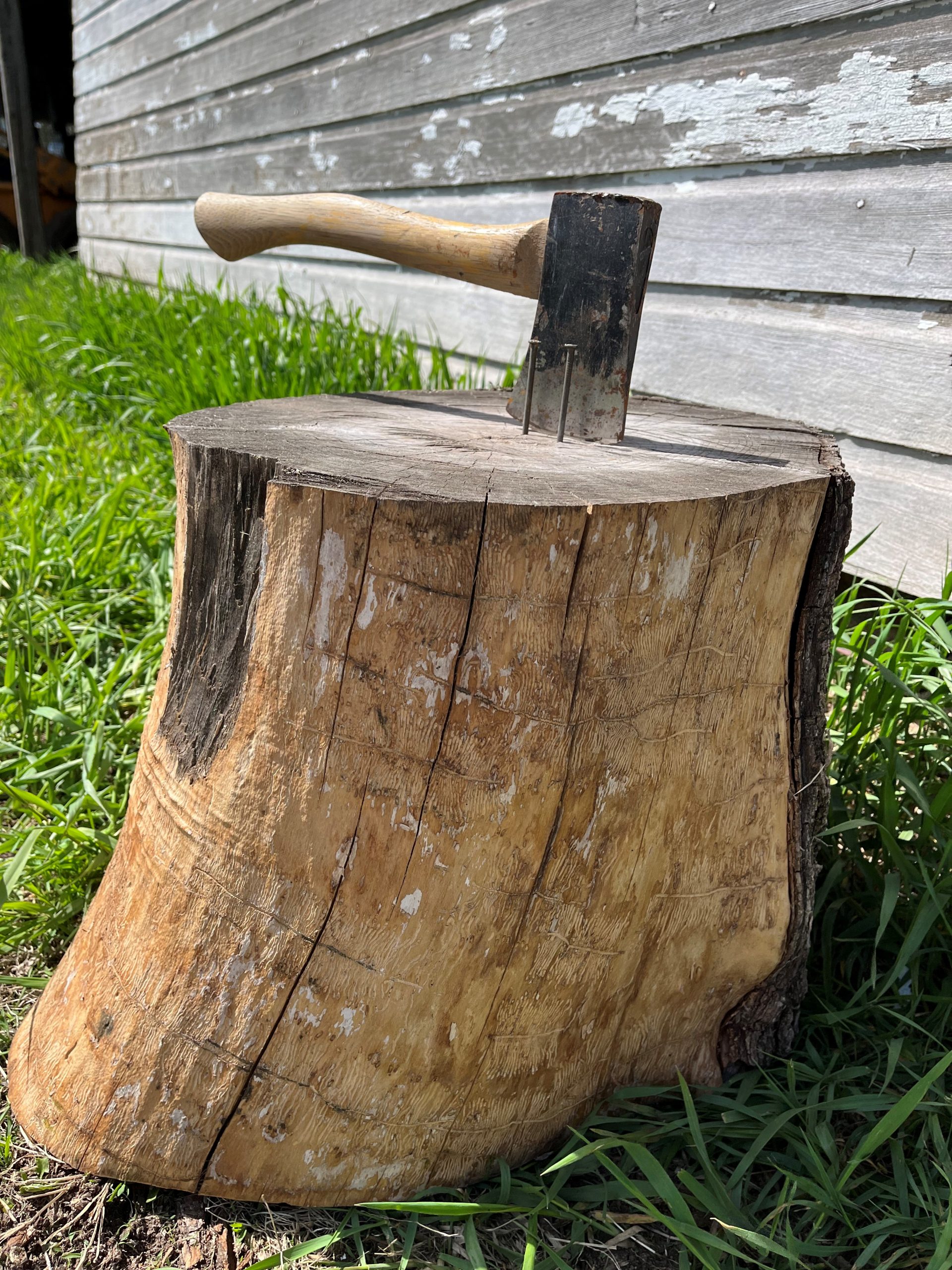 How To Butcher Chickens - Home Butcher Guide