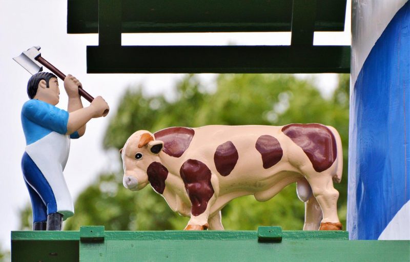 Home - Home Butcher Guide