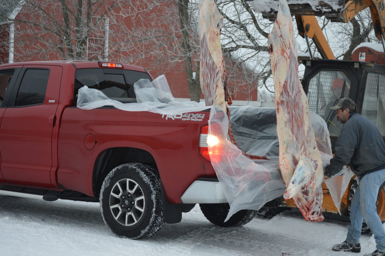 Hanging Meat After Slaughter - Home Butcher Guide