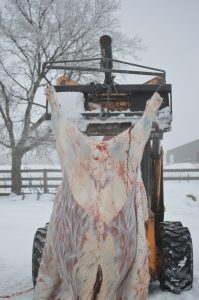 How To Butcher Beef - Home Butcher Guide